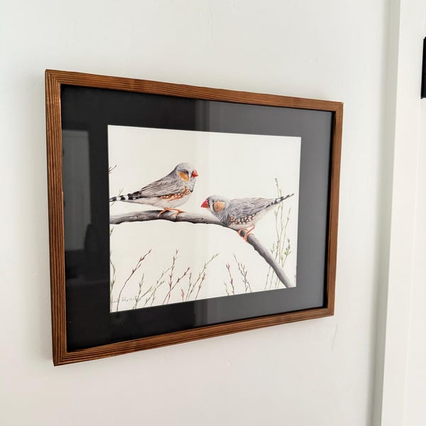 Satin Bowerbird Print - Australian Native Bird Art Print - Etsy