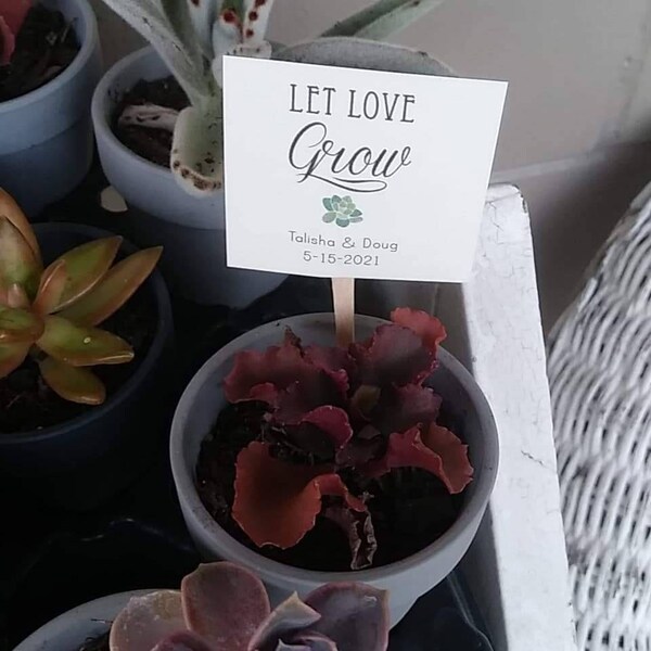 CUSTOMIZABLE Let Love Grow Tags | Wedding Succulent Favor Tags | Bridal ...