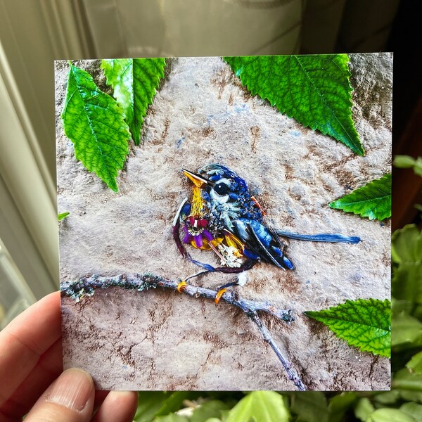 UNMOUNTED 'humpback Whale' Print. Original Artwork by Hannah Bullen ...