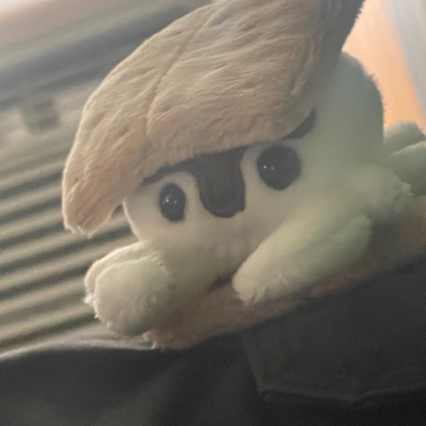 MINI PLUSH Tbh Autism Creature YIPPEE Fan Art Plush Tiny Small ...