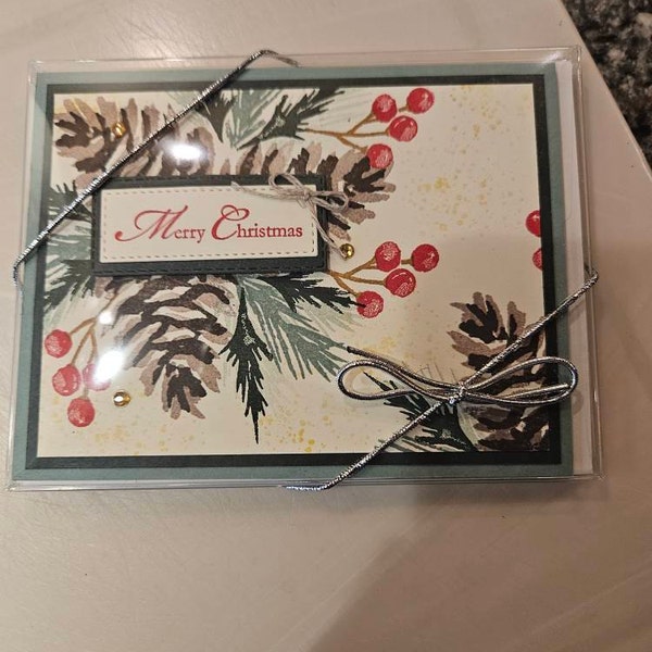 Clear No Flap Greeting Card and Notecard Sleeves, Packs of 100 Pieces ...