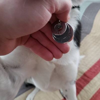 Pet ID Tag Stainless Steel Washer Durable Metal Pet ID Tag Hand Stamped ...