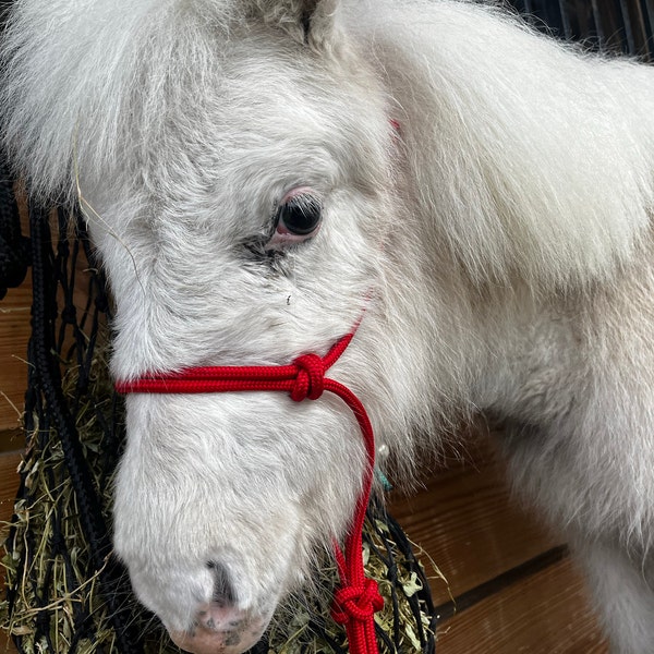 Rope Halter & Mecates Natural Horsemanship Hackamore 21 Colors 2 or 4 ...