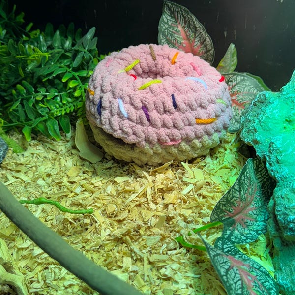 MINI Crochet Donut Snake Cozy Hide - Etsy