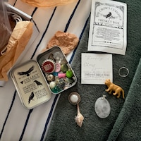 DIY Crow Surprise Box Host a Crow Party Trinket Boxes Ready to Fill ...