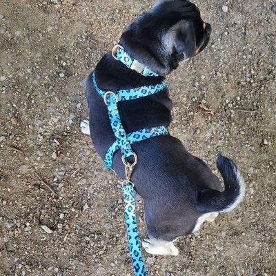 3' Spiky Wide Dog Collar Chain Set Buffalo Leather - Etsy