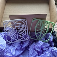 Plant Trellis Cebu Blue Pothos Plant Art Plant Decor - Etsy Canada