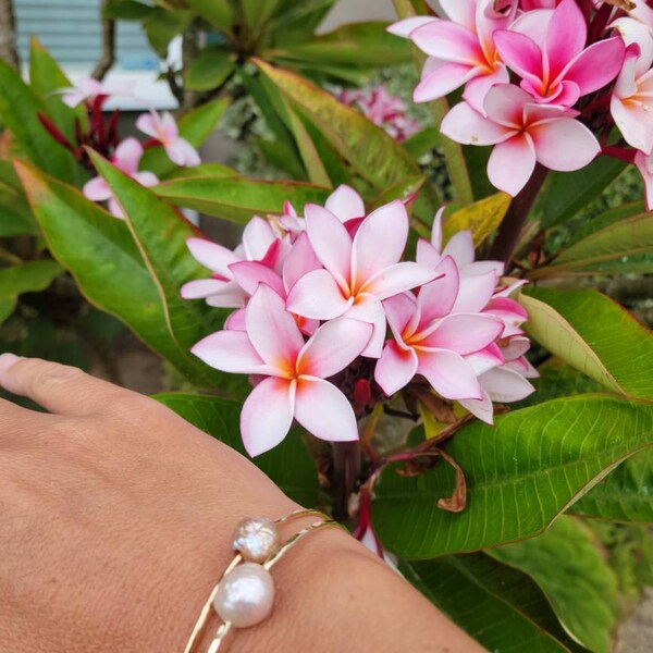 Shell Bangles, Choose Your Own Shell Bangle STERLING SILVER Hawaiian ...