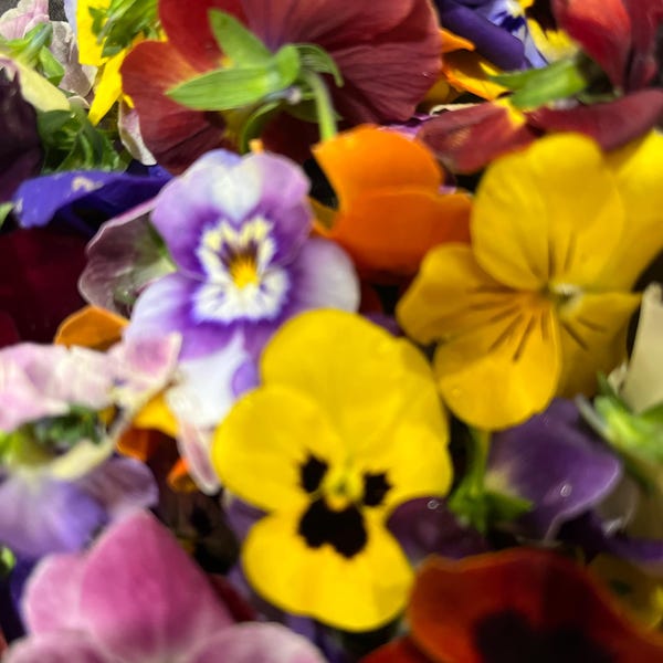 Fresh Edible Flowers Viola 50 Ct - Etsy