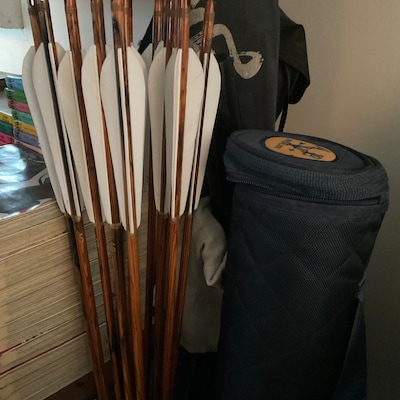 HUNTER ARROW Special Parabolic Maned Traditional Hunter Arrows 12 Piece ...