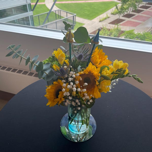 Custom Tulle Tutu Wall / Photo Backdrop - Etsy