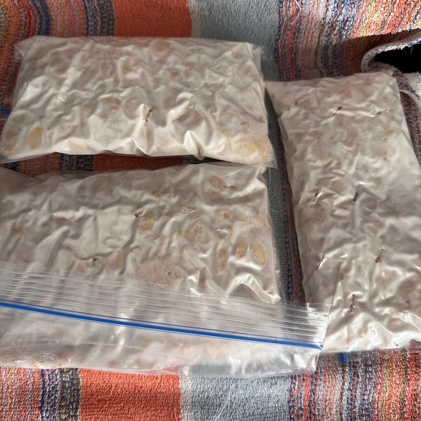 Soy-free Organic Tempeh Starter Culture - 100g, Rhizopus Oligosporus ...