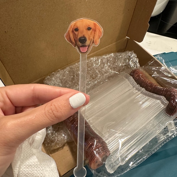 Wedding Pet Stir Sticks, 50 Pcs Double-sided Dog Stir Stick, Watercolor ...