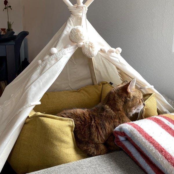 Rabbit Bed, Bunny Bed, Rabbit House, Bunny Teepee, Pet Teepee, Guinea ...
