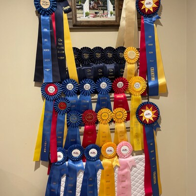 Personalized Show Ribbon Display - Etsy