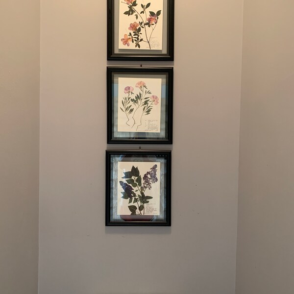 Evening Primrose Print; Plant Art Pressed Flower Print Floral Nursery ...