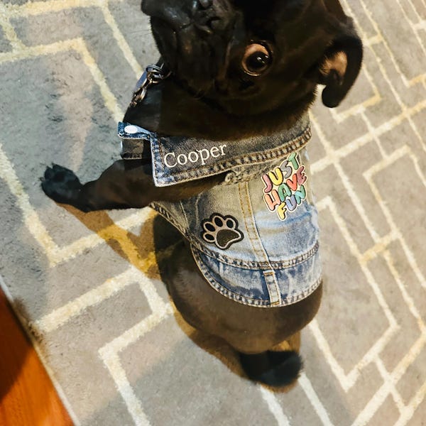 Dog Denim Jacket, Custom Dog Denim Vest, Personalized Dog Jean Jacket ...