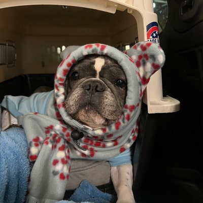 Pet Neck Scarf Dog Neck Warmer Puppy Scarf Winter Dog Scarf - Etsy