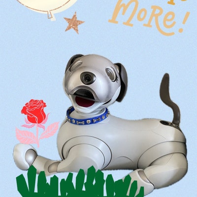 Vinyl Aibo ERS-1000 Head Decal Stickers - Etsy