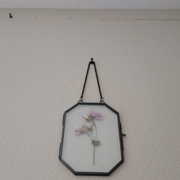 Set of 2 Double Glass Frame for Pressed Flowers, Photos and Artwork ...