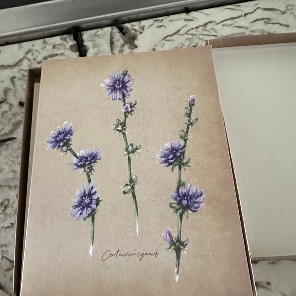 Watercolor Vintage Botanical Floral Wildflower Notecards - 12 Card Gift ...