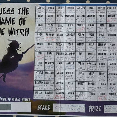 TEDDY Guess the Name of Scratchcard Fundraising Game Fete Fair Fayre ...