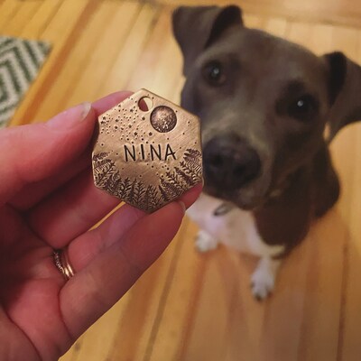 Dog Tags for Dogs, Dog Tags, Pet Id Tag, Customized, Full Moon Stardust ...