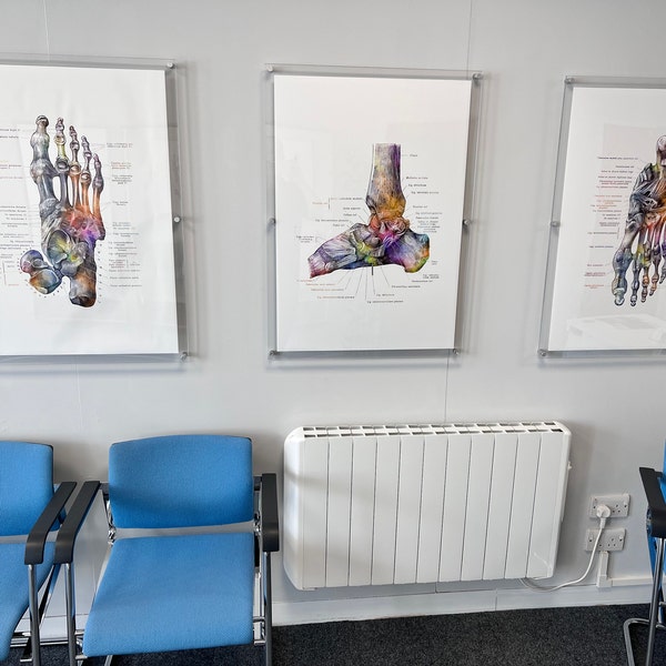 Foot Anatomy 6 Posters, Skeletal Bones Print, Podiatry Art, Medical ...