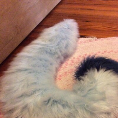 CUSTOM: Cat/feline Fursuit Tail with Curve - Etsy