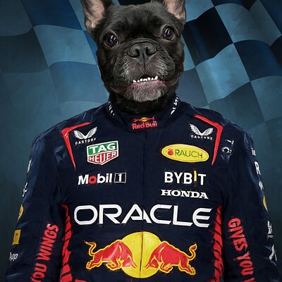 Red Ball, Formula Racing Car, F1 Driver Team Pet Portrait, Custom Dog ...