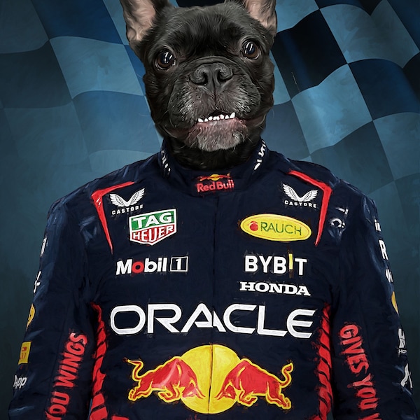 Red Ball, Formula Racing Car, F1 Driver Team Pet Portrait, Custom Dog ...