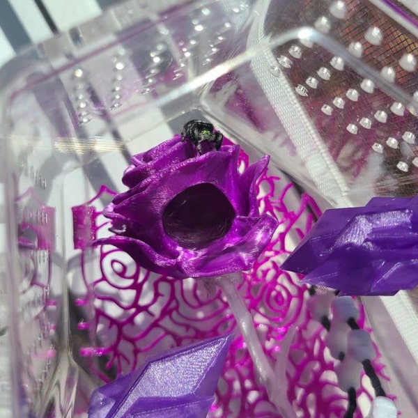 3D Printed Magnetic Rose Jumping Spider Hide Enclosure Decor - Etsy