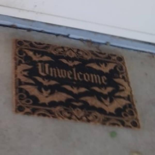 Unwelcome Bat Coir Doormat, Halloween Decor - Etsy