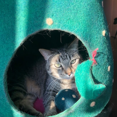 Cat Toy Felted Cat Balls Rainbow Wool Balls Handmade - Etsy