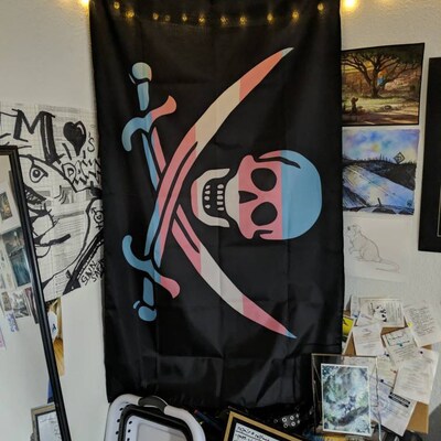 LGBTQ Pride Flag Transgender Pride Pirate 5'x3' - Etsy