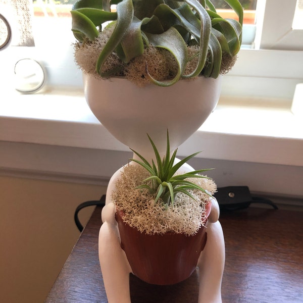 Planter Head Face Planter Human Body, Live Tillandsia, Air Plant Holder ...