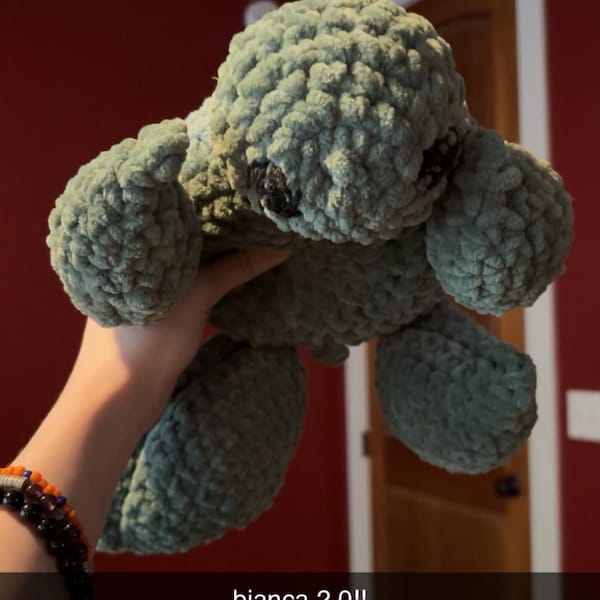 Fred the Sea Turtle | Crochet Pattern | PDF Download | Includes Follow ...