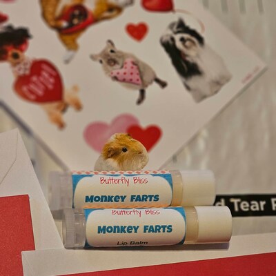 Monkey Farts Monkey Farts Lip Balm Organic Lip Balm Natural Lip Balm ...
