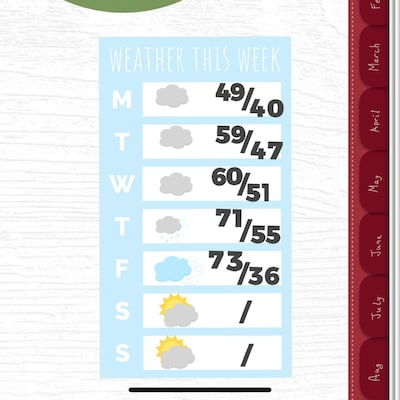 Kawaii Weather Digital Stickers Goodnotes, iPad and Android Mood ...