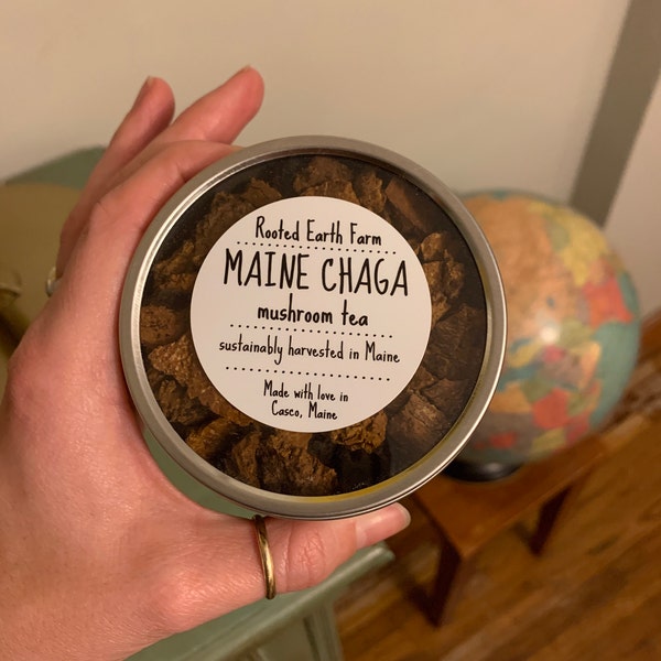Chaga Tea, Maine Chaga Mushroom Tea, Inonotus Obliquus, Chaga Chunks ...