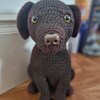 Labrador Retriever Crochet Pattern, Chocolate Crochet Labrador Pattern ...