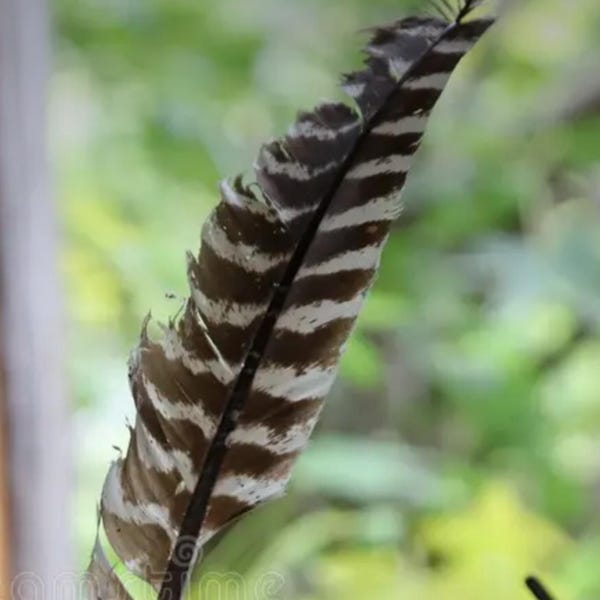 Sign Language Stickers / ASL Decals / ASL Sticker Pack / Inspirational ...