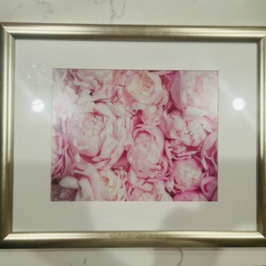 Paris Photography Questel Staircase, Versailles, Neutral, Architecture ...