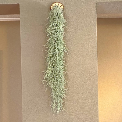 Modular Wooden Magnetic Marble Run Infinity Trax - Etsy