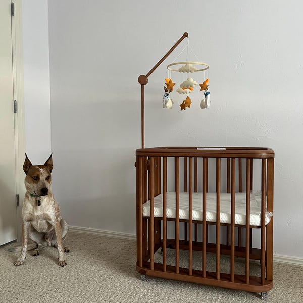 Custom Dog Baby Mobile, Personalized Baby Nursery, Puppy Baby Mobile ...