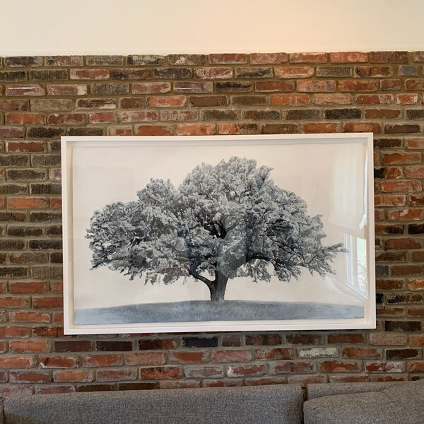 Lone Oak II - Oak Tree Ink Drawing - Original Art - Wall Art - Etsy