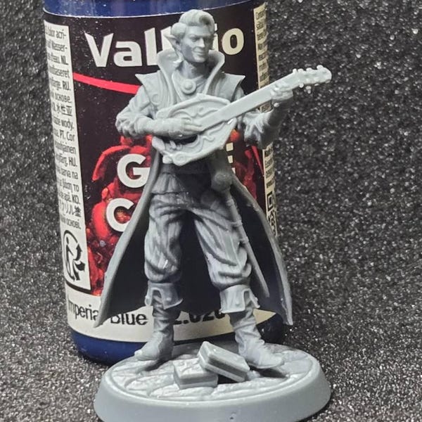 Half Elf, Male, Bard, Rogue, Leather, Vest Coat, Sabre, Guitar, Belt ...