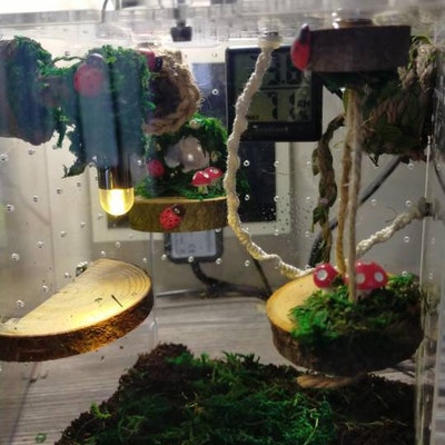 Jumping Spider Sign Post Spooder Lives Here, Spider Hideout Accessories ...