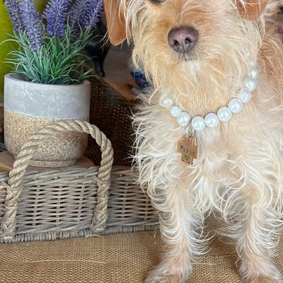 PUPPY PROPOSAL. He Wants to Know If You Will Say Yes. Hand Stamped ...