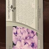 Echinacea Purple Coneflower Cheyenne Spirit Wildflower Seed Mix for ...